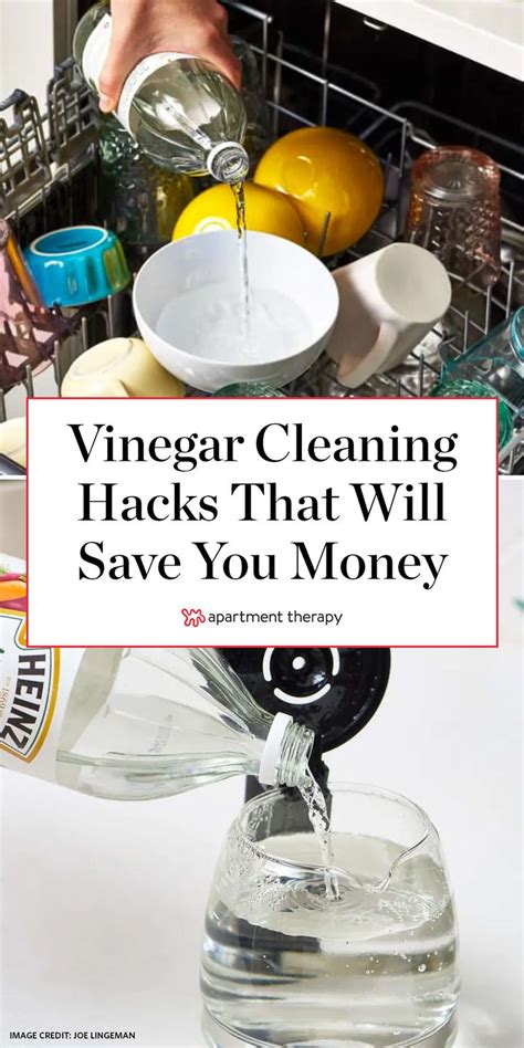 7 Vinegar Hacks From A Cleaning Expert That Can Save You Money