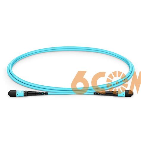 1m Mtp Female To Mtp Female 12 Fibers Om3 150m Multimode Elite Trunk