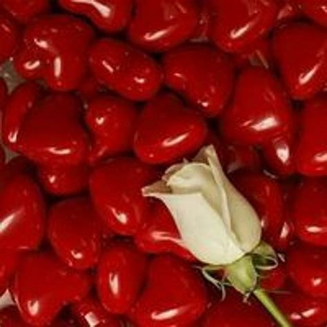 Stream Salwa Mohamed Music Listen To Songs Albums Playlists For Free On Soundcloud