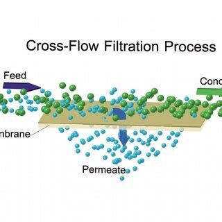 Fig N 1 Form Fig N From M Di Giosia Download Scientific Diagram