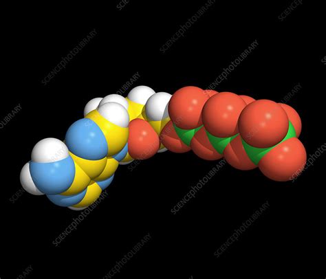 Adenosine Triphosphate Atp Molecule Stock Image A700 0113
