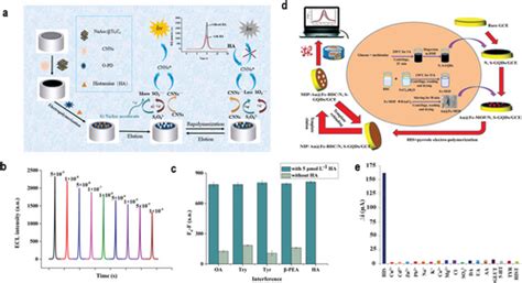 Point‐of‐care Health Diagnostics And Food Quality Monitoring By