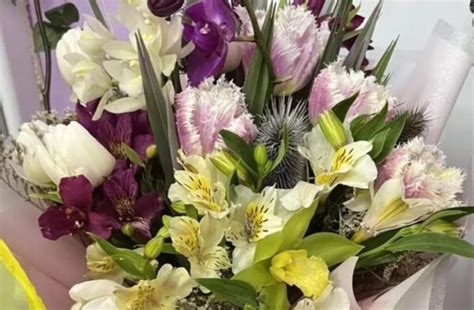 Знаки Зодіаку життя яких кардинально зміниться у квітні Особлива