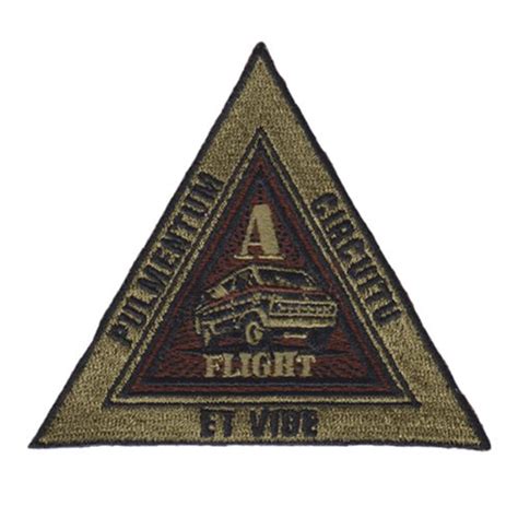 101 Is A Flight Ocp Patch 101st Intelligence Squadron Patches