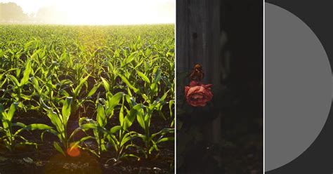 List My Fiction Curated By Kevin Baugh Medium