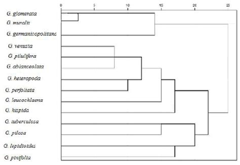Dendrogram Showing The Clustering Pattern Among 14 Samples Of