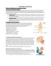 Pulse Rate Virtual Lab Activity Pdf Heart Rate Lab Activity Methods For Measuring Heart Rate