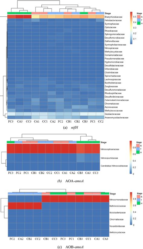 Heatmap Based On Cluster Analysis At The Family Level Download Scientific Diagram