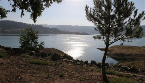 Castaic Lake All You Should Know Before Going 2026 With Reviews