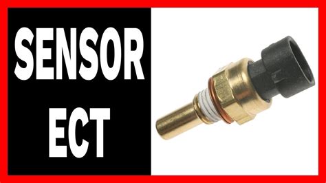 how to test ect sensor