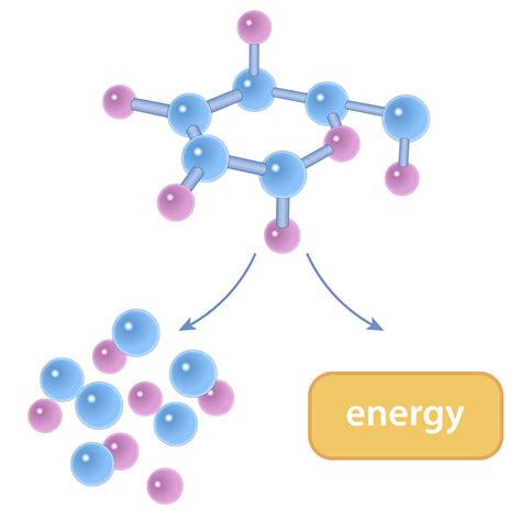 Nejm Illustrated Glossary