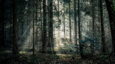 June 2026 Desktop Wallpaper Dual Calendar