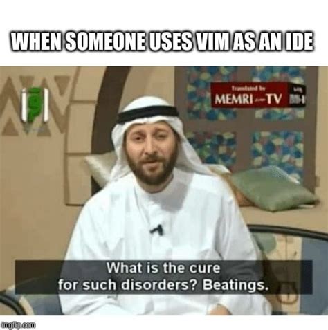 Using Vim As An Ide Rprogrammerhumor