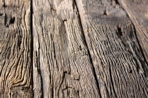 Rough Wood Texture Free Stock Photo - Public Domain Pictures