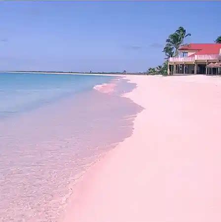 30 Gorgeous Pink Sand Beaches Around The World List Of 2025