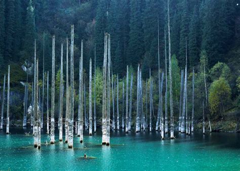Submerged