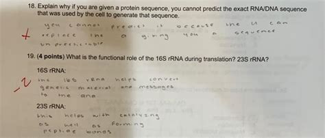 Solved Explain Why If You Are Given A Protein Sequence Chegg