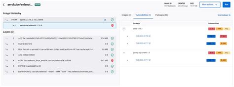 security issues with this container · issue 1300 · aerokube selenoid