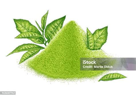 말차 가루와 녹차를 남깁니다 일본 음료 녹차 음료를 위해 잘게 썬 잎 빈티지 포인시즘 스타일로 스케치 새겨진 벡터입니다 가루로 빻은에 대한 스톡 벡터 아트 및 기타 이미지