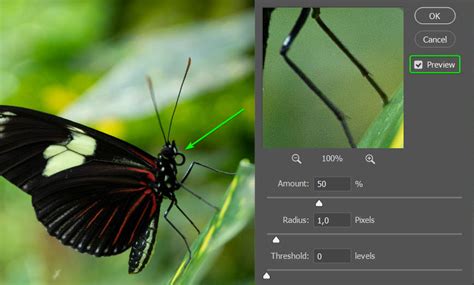 How To Use The Unsharp Mask To Sharpen Images In Photoshop