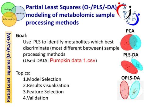 4 Partial Least Squares Modeling Pptx