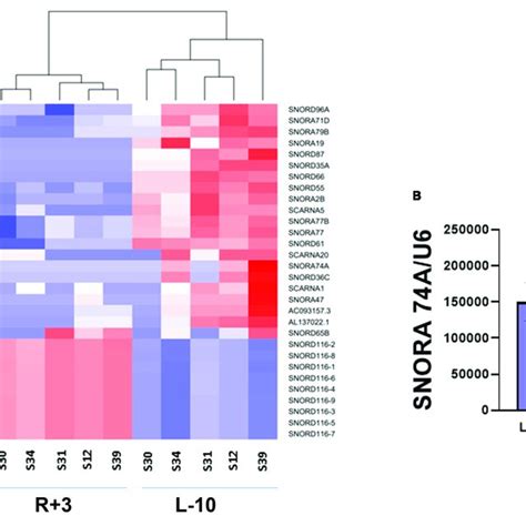Small Rna Sequencing Of Ev Derived Rna Content A Heat Map Of