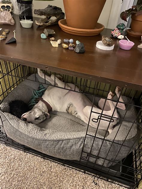 Wiggle Worm Scrolller