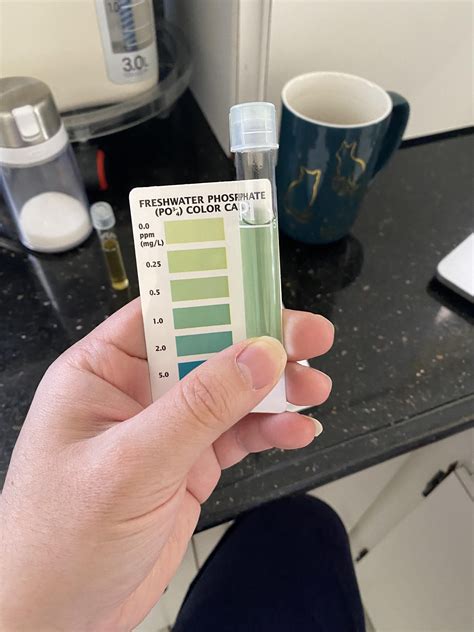 Phosphate Levels Raquariums
