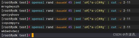 Openssl生成随机密码。 Csdn博客
