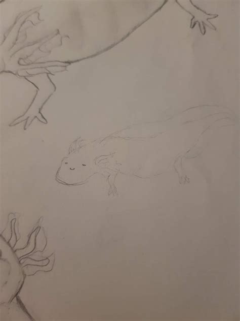 Years Ago I Tried To Draw An Axolotl R Axolotls