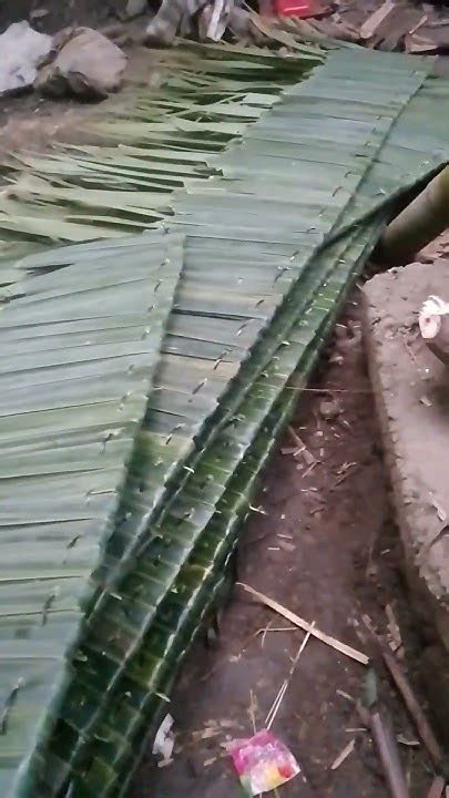 Pawid Making Nipa Palm Youtube