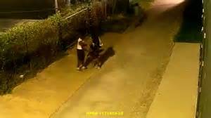 Aggravated Robbery Suspects Rob Man At Gunpoint In Alleyway Video
