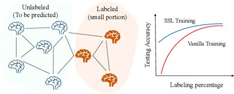 Figure From GATE Graph CCA For Temporal Self Supervised Learning For Label Efficient FMRI