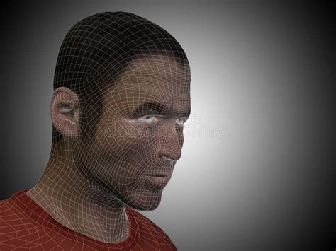 3d Illustration Wireframe Young Human Male Or Man Face Or Head Stock Illustration Illustration