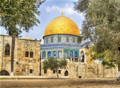 Discovering Connections Across Modern Semitic Languages