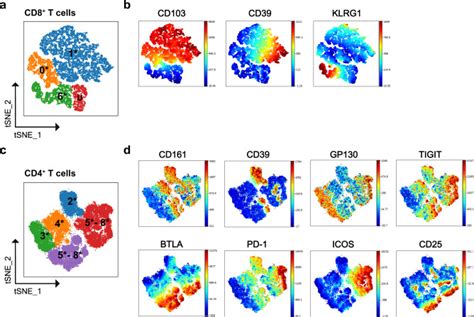 Single Cell Analyses Of Crohns Disease Tissues Reveal Intestinal Intraepithelial T Cells