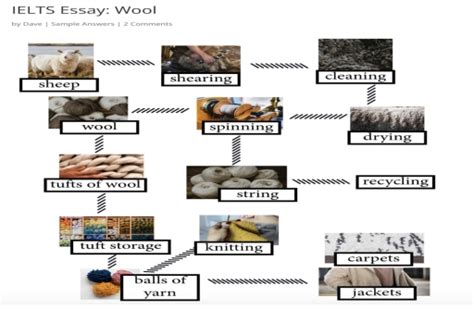 The Diagram Details The Process Of Making Wool Summarise The Information By Selecting And