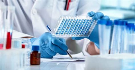 Virus Testing Eurofins Agro Virus Testing Eurofins Agro