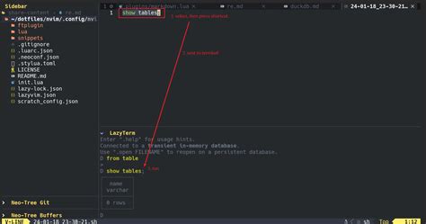 Nselectedtext In Vscode Rneovim