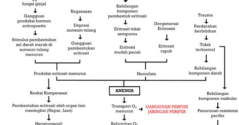 Pathway Anemia
