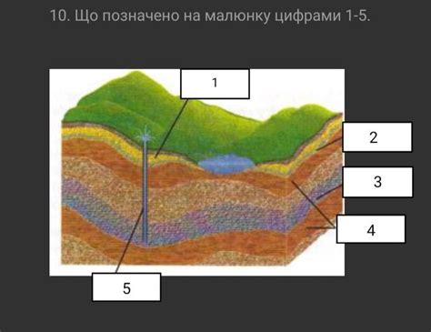 Помогите дам 20 баллов Школьные Знания Com