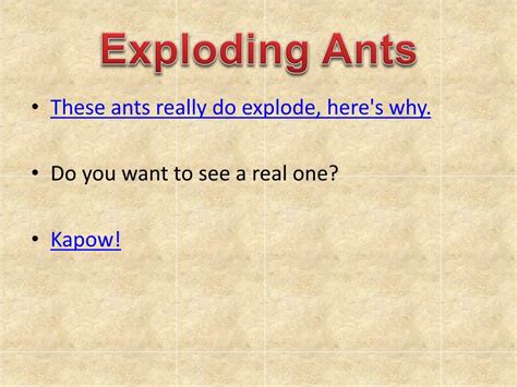 Ppt Exploding Ants Powerpoint Presentation Free Download Id5542212