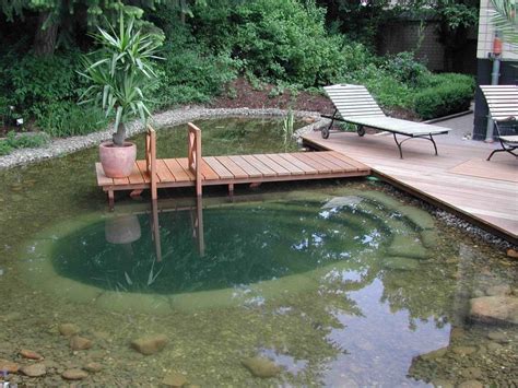 Декоративный пруд для дачи, 19 фото искусственных водоемов | Дачный участок