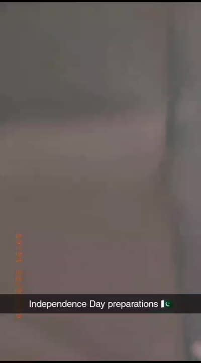 Webbuggs On Linkedin Webbuggs Green Pakistan 14august