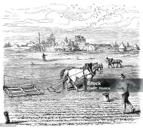 Vetores De Antigo Ilustração De Agricultores De Trabalho E Mais Imagens