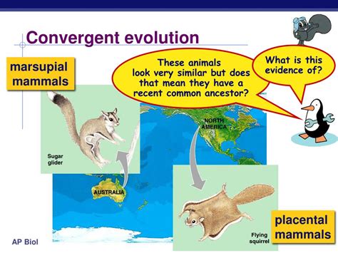 Ppt Evidence For Evolution By Natural Selection Powerpoint Presentation Id 2207870