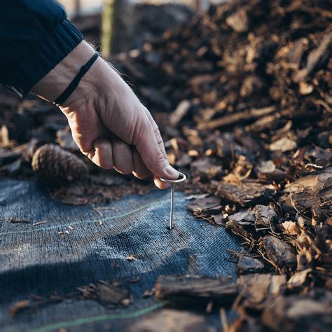 Cinkuotas Metalinis Kaištis G Formos 50 Vnt — Garden24