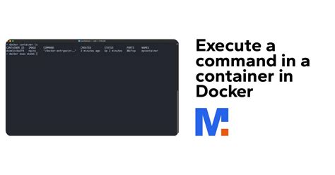 Execute A Command In A Container In Docker Developer Lesson