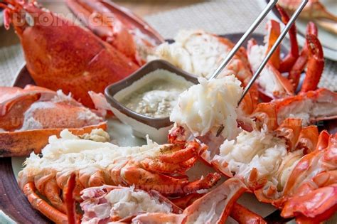 유토이미지 랍스터찜