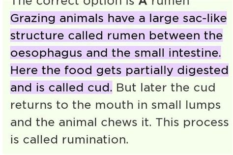The Grass Eating Animals Swallow The Grass And Store It In A Separate